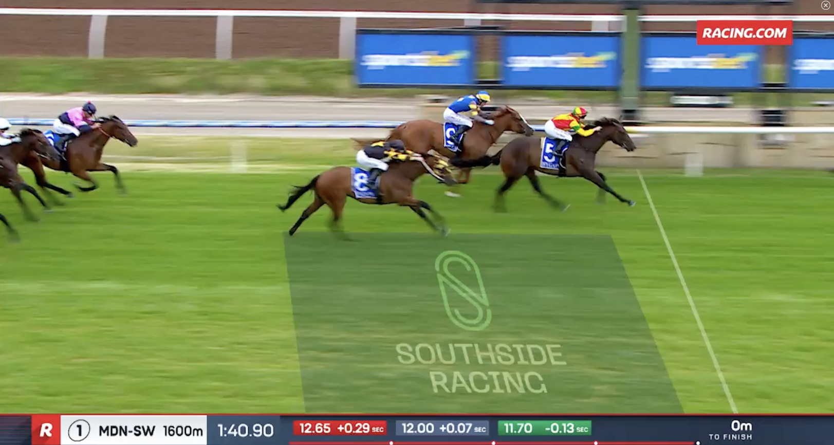 All Torque Transmissions » ‘All Torque’ Wins Its Maiden Race